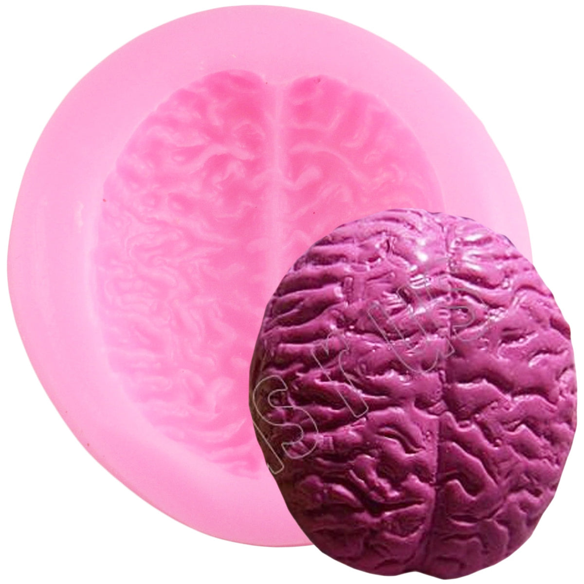 3D Brain Silicone Mold – PutOnApron
